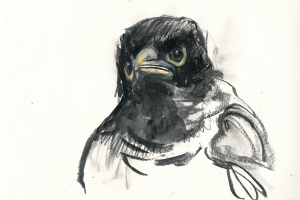 Maree Woolley – MELBOURNE ART CLASS